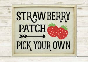 Strawberry Patch SVG - Free High Qualify SVG Cut Files