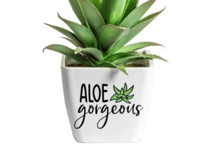 Plant SVG Files {6 Free Plant Quote SVGs}