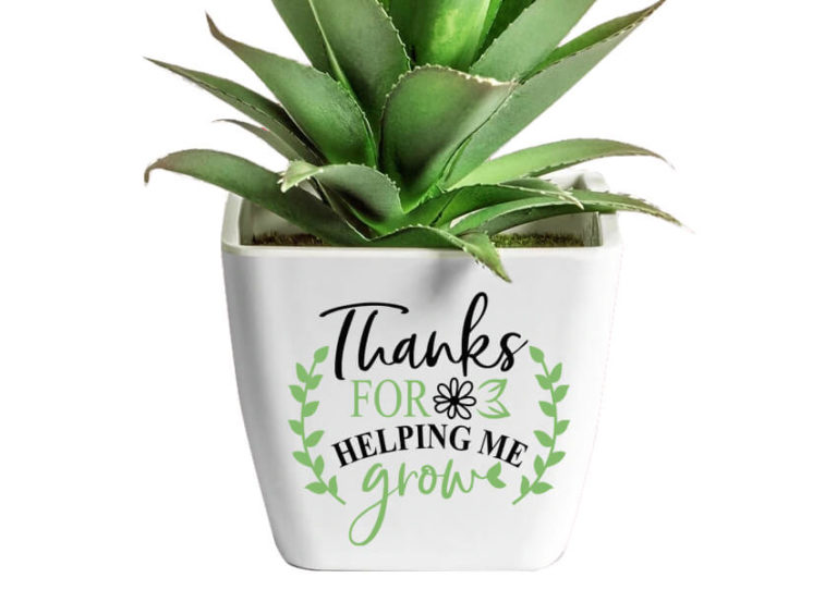 Plant SVG Files {6 Free Plant Quote SVGs}